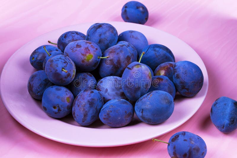 Fresh plums on pink plate. stock image. Image of mixed - 59295813