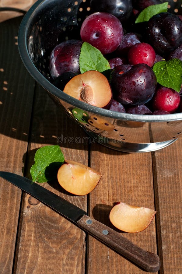 Fresh plums stock image. Image of focus, fresh, food - 32537967