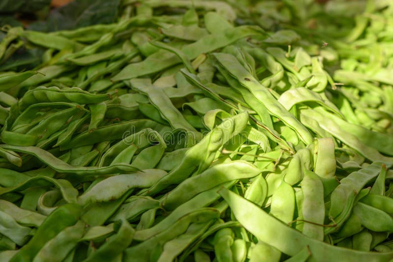 Fresh Pods of Green Beans at the Local Market 2 Stock Image - Image of ...