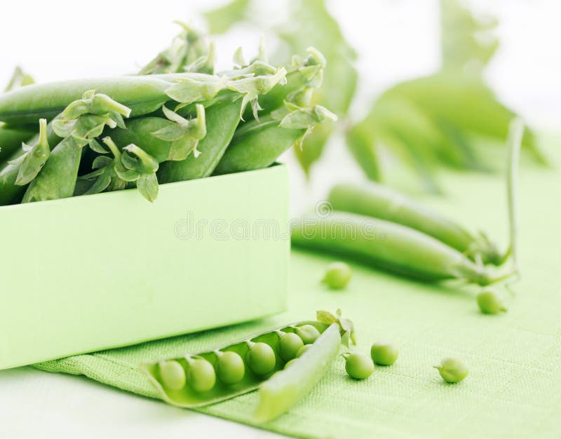 Fresh pods of green peas stock photo. Image of peas, green - 31751456
