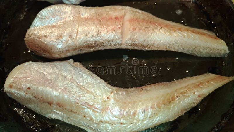 Fresh Pollack without Heads / Sea White Fish / Stock Photo - Image of ...