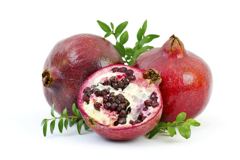 Fresh pomegranate stock image. Image of leaf, close, isolated - 18219295