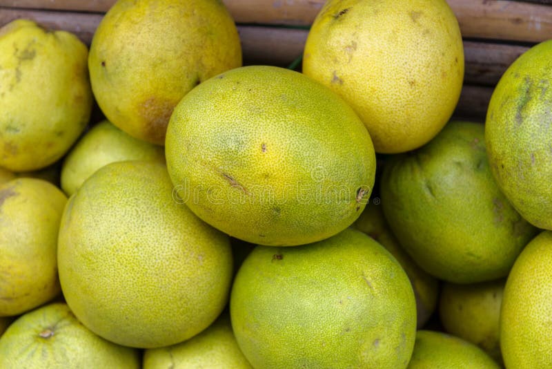 Philippines Pomelo And Durian Stock Image - Image of texture, fruit ...