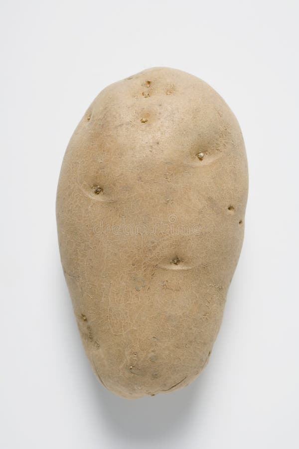 Fresh potato stock photo. Image of potato, uncooked, food - 7676098