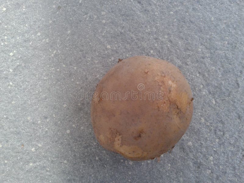 Fresh potato stock image. Image of closeup, fresh, ingredient - 42791863