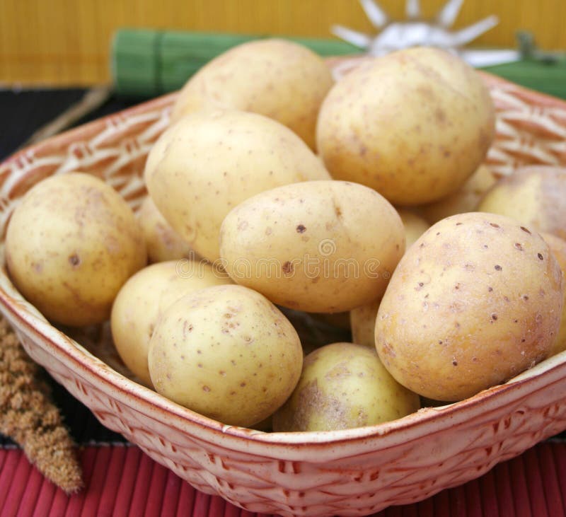 Fresh potatoes stock photo. Image of vitamins, potatoes - 11794532