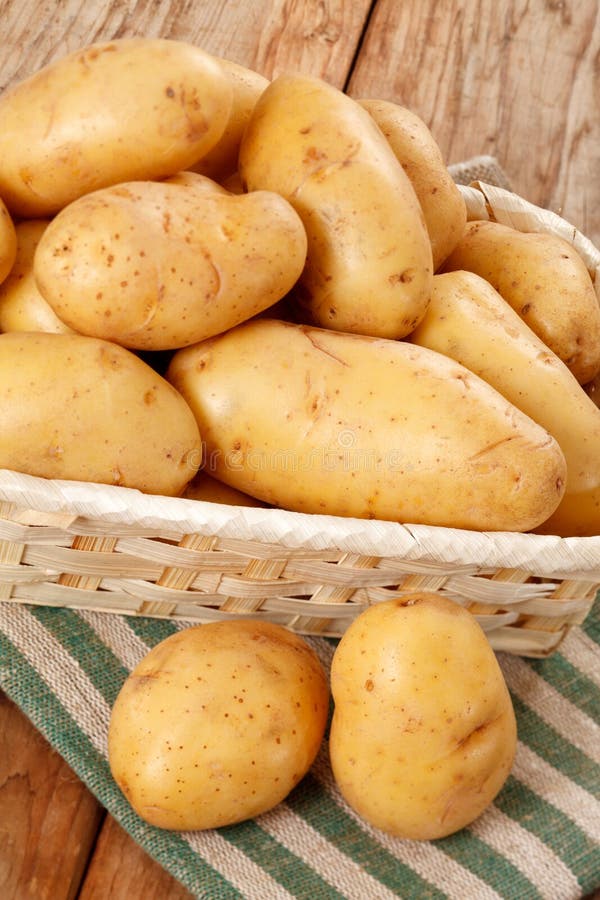 Fresh potatoes stock photo. Image of young, earthy, uncooked - 25149542