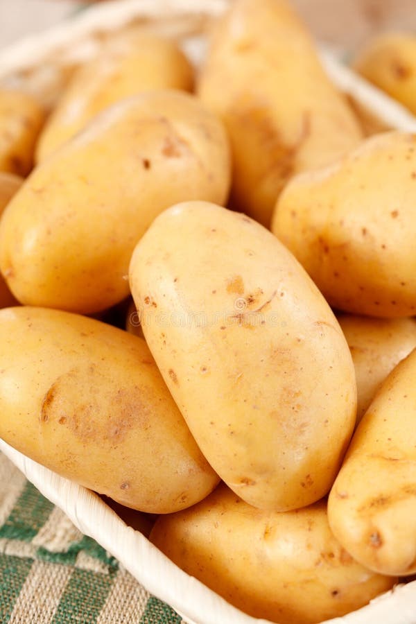 Fresh potatoes stock image. Image of fingerling, earthy - 26104405