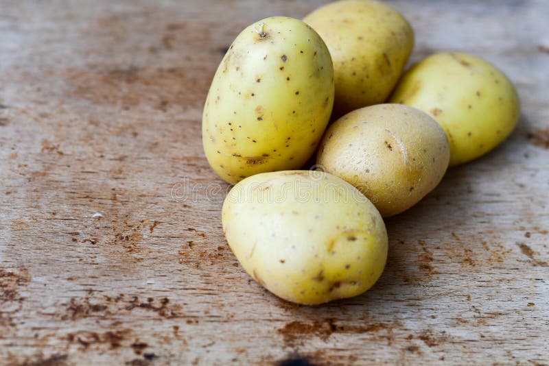 Fresh Potatoes stock photo. Image of land, making, farm - 109243862