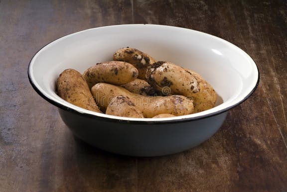 Fresh Potatoes from the Garden Stock Photo - Image of agriculture, food ...