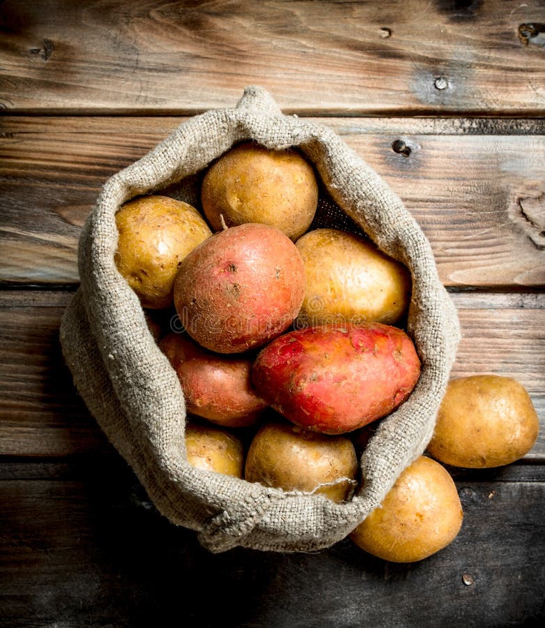 Red potatoes in sack stock image. Image of harvest, burlap - 46906049