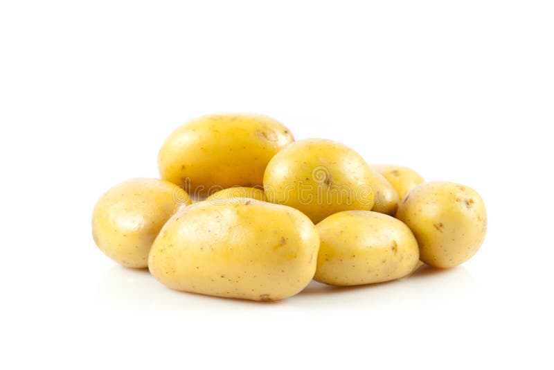 Poisonous green potatoes stock photo. Image of careful - 26085264