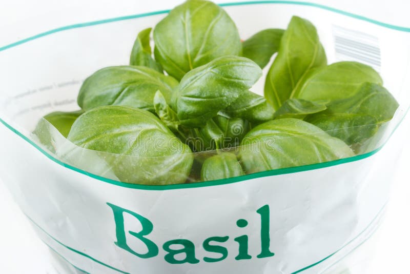 Potted Basil Plant with Name Tag Stock Photo - Image of plant, flower ...
