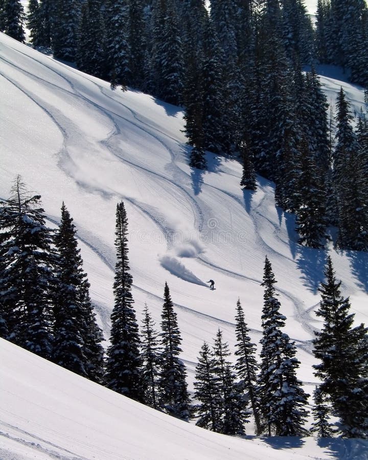 Skiing stock photo. Image of deep, tracks, activity, sports - 2054744