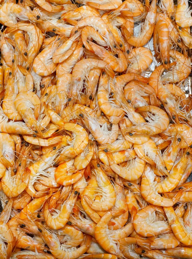 Prawns in Display at Market Stock Photo - Image of uncooked, styrofoam ...