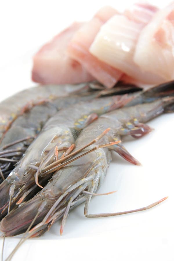 Fresh prawns and fish meat stock photo. Image of good - 7237532