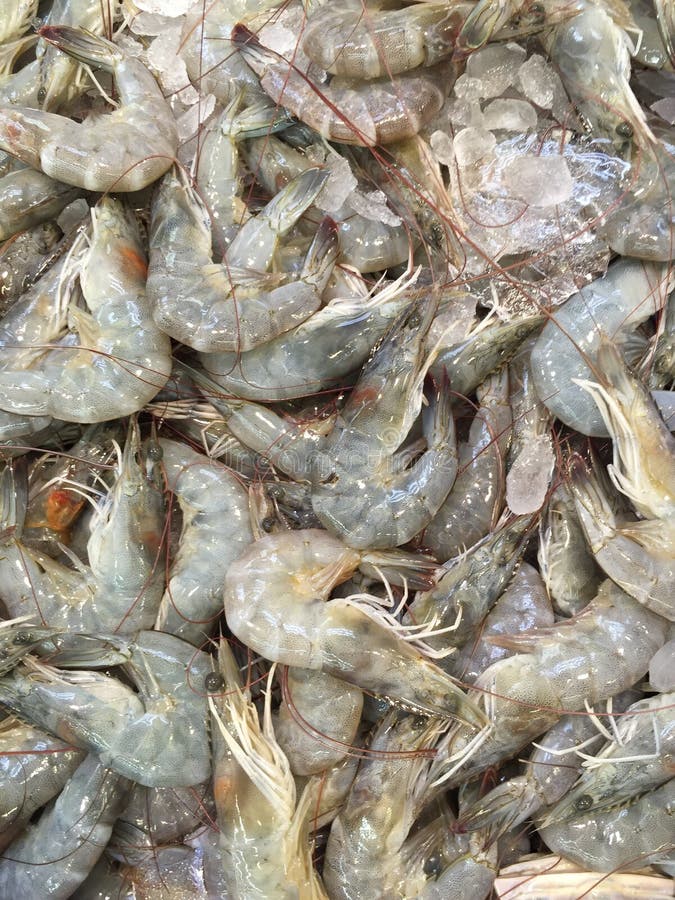 Fresh prawns stock photo. Image of prawns, supermarket - 55800384