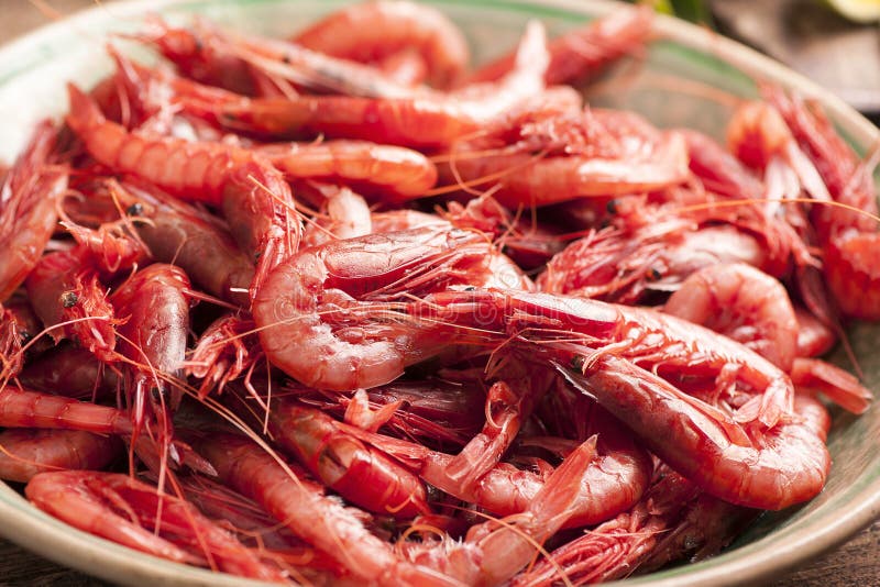 Fresh Prawns from Mazara Del Vallo Close Up Stock Image - Image of cook ...