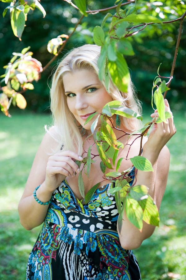 Pretty Spring Background. Cherry Blossom in Full Bloom Stock Photo ...