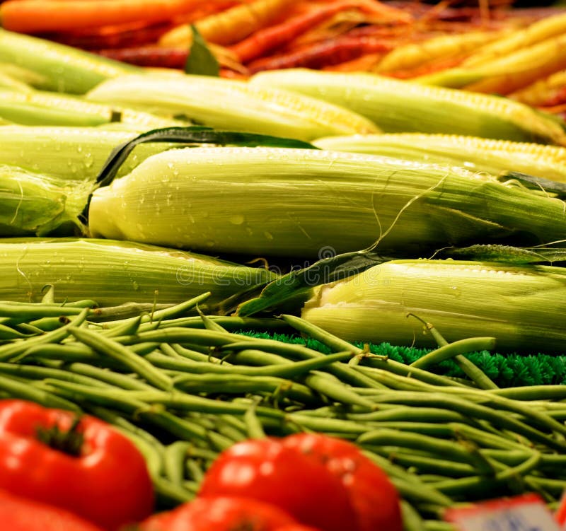 Fresh produce stock image. Image of produce, corn, place - 26401521