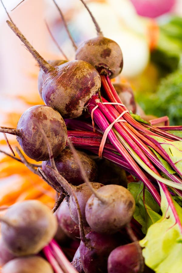Fresh produce stock image. Image of vegetabilis, beet - 32275179