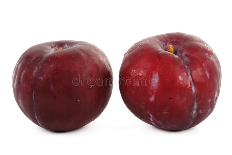 Fresh prune stock image. Image of macro, healthy, ingredient - 41432201