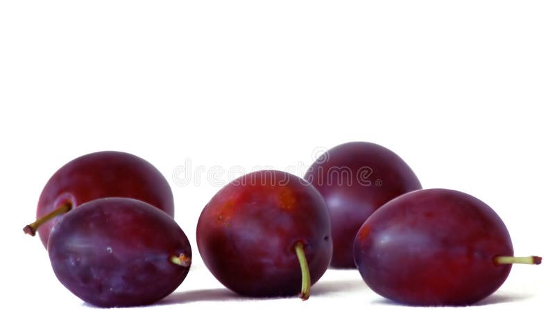 Fresh prunes stock photo. Image of health, diet, juicy - 2364208