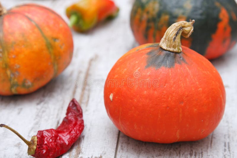 Fresh pumpkin stock image. Image of organic, ingredients - 27102075