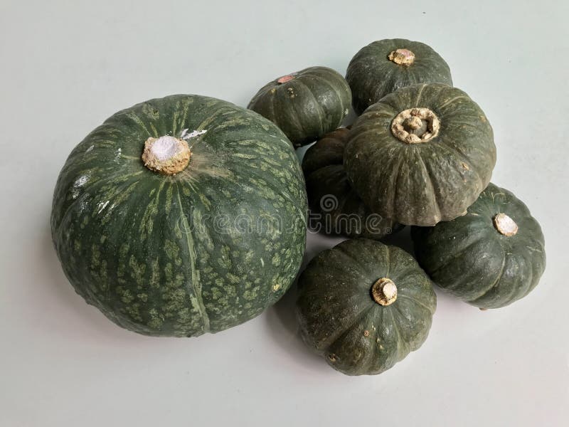 Fresh pumpkin stock photo. Image of pumpkin, beta, garden - 97685786