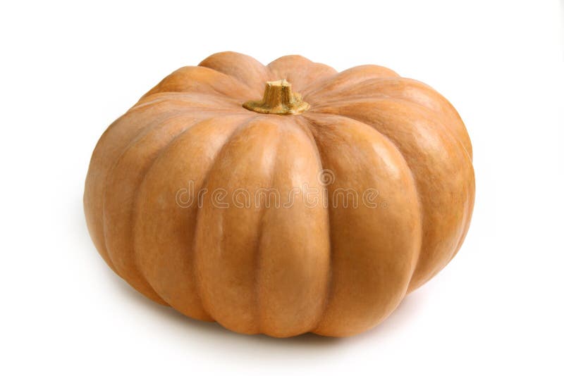 Fresh pumpkin isolated stock image. Image of space, halloween - 17871425