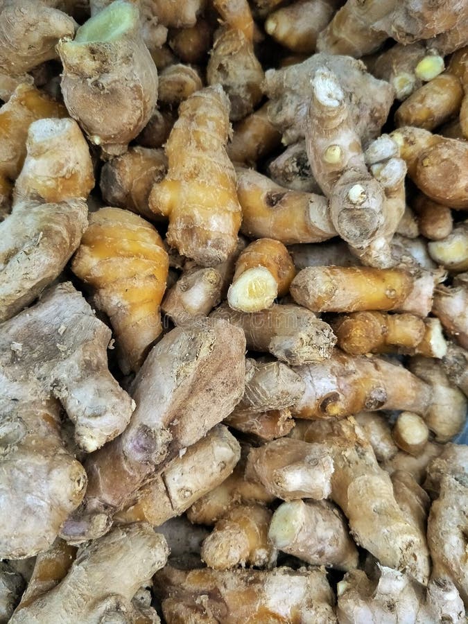 Pure ginger stock image. Image of root, ingredient, health - 110720907