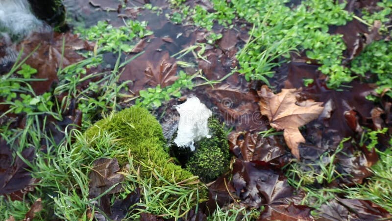 Fresh Pure Spring Water that Gushes from the Ground Stock Footage ...