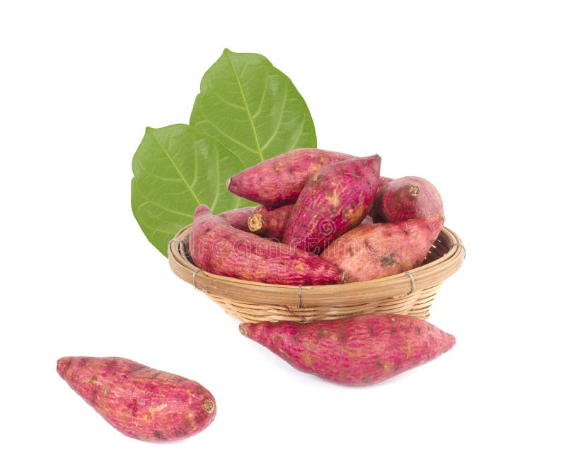 152 Purple Cassava Potato Stock Photos - Free & Royalty-Free Stock ...