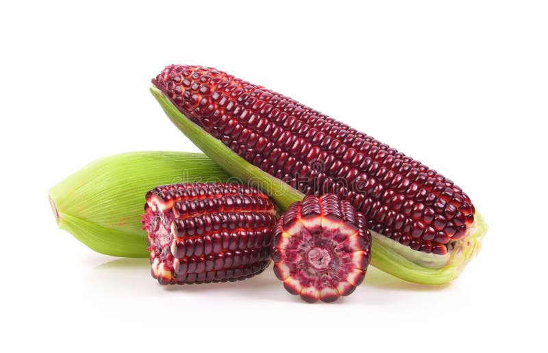 Purple Corn on White Background Stock Photo - Image of healthy ...