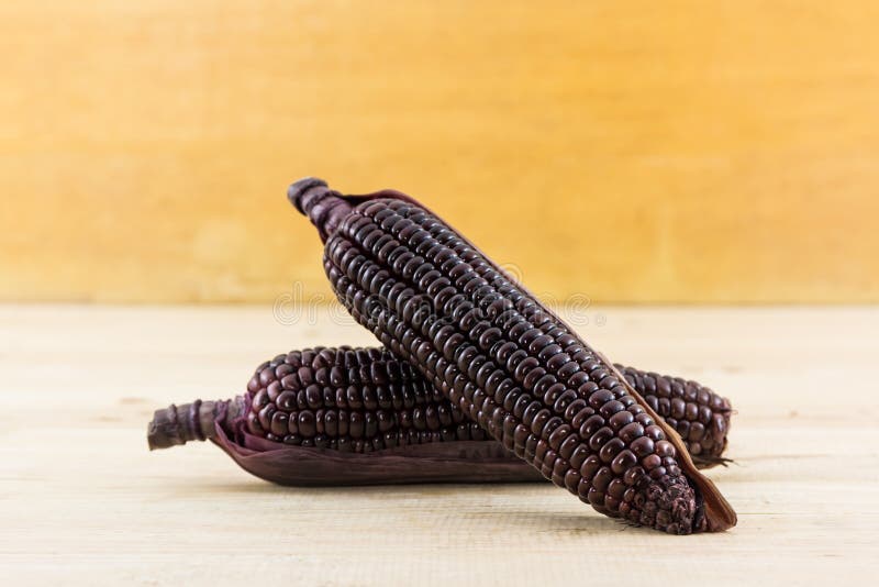 Fresh Purple Organic Corn, Maize. Stock Photo - Image of grain ...