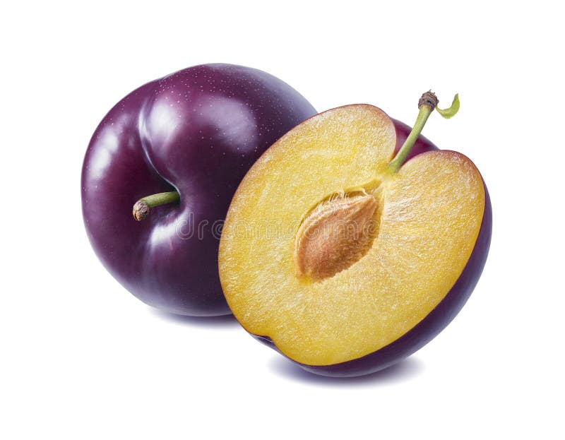 880+ Plum white background Free Stock Photos - StockFreeImages