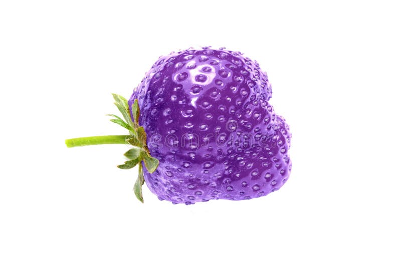 Fresh purple strawberry stock photo. Image of juicy, freshness - 36746266
