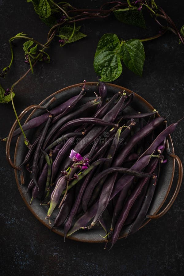 Fresh Purple String Beans on a Black Table, Clean Eating, Selective ...