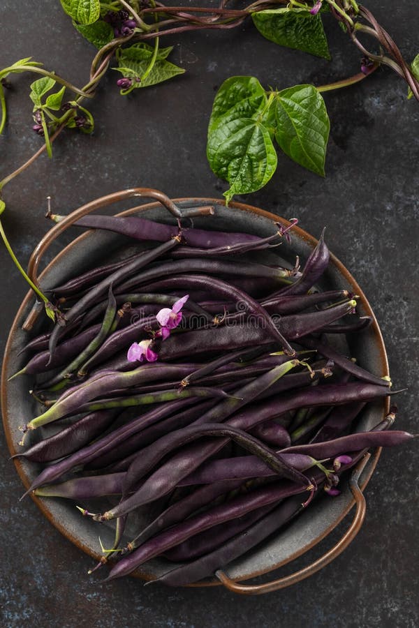 Fresh Purple String Beans on a Black Table, Clean Eating, Selective ...
