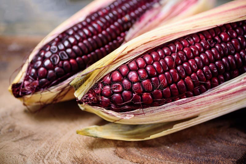 Close Up Of Fresh Purple Sweet Corn Stock Image - Image of diet, color ...