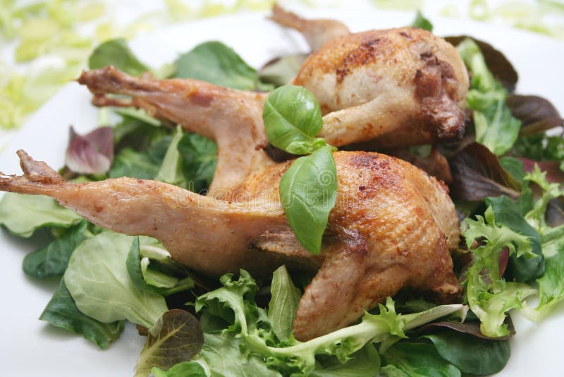 Fresh quails stock photo. Image of vitamins, fresh, quails - 7270142