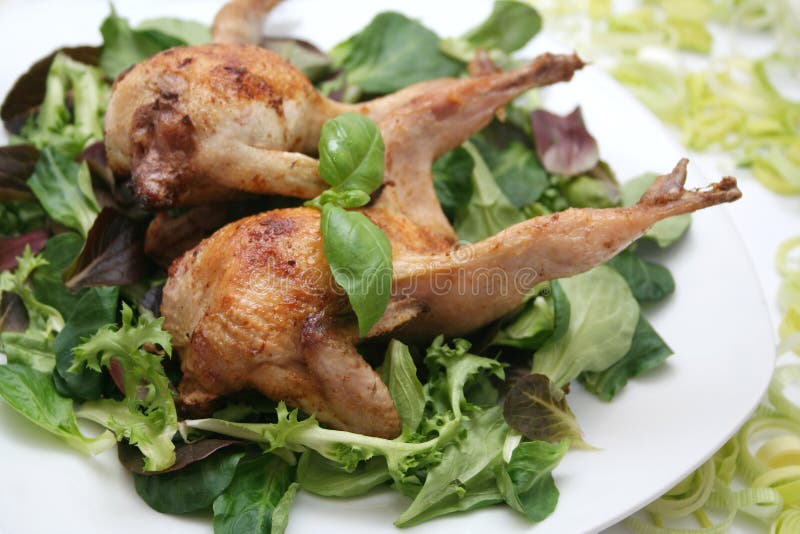 Fresh quails stock image. Image of meat, dinner, healthy - 7270177