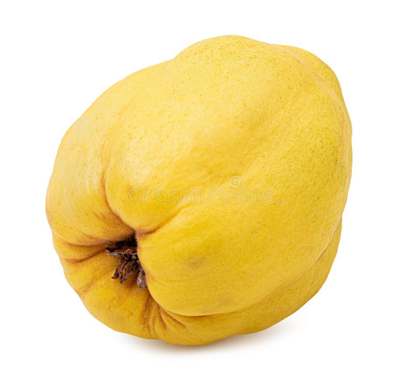 Fresh Quince on White Background Stock Photo - Image of ripe, healthy ...