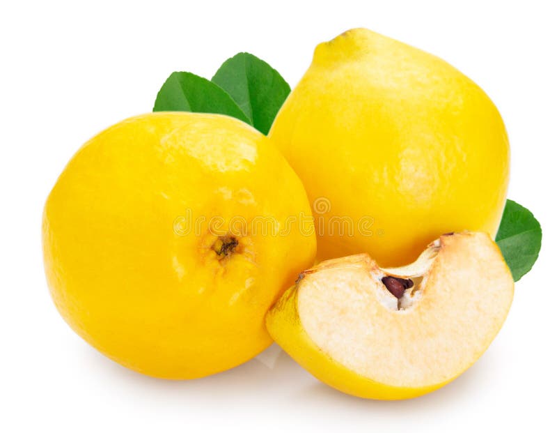 Fresh Quince Isolated on White Background Stock Image - Image of white ...