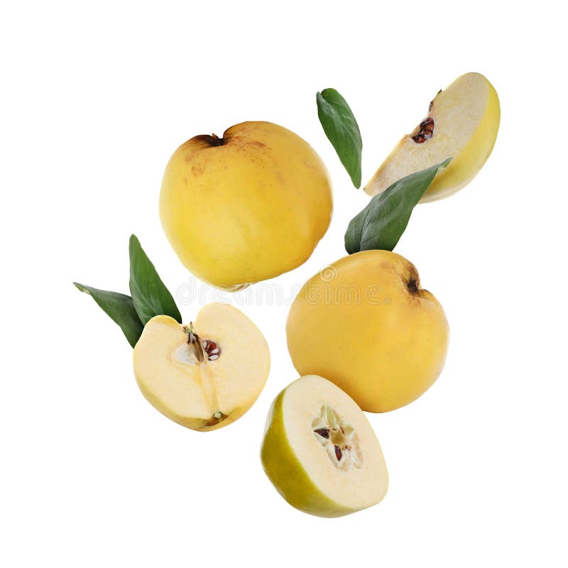 Fresh Quinces with Green Leaves Falling on White Background Stock Image ...