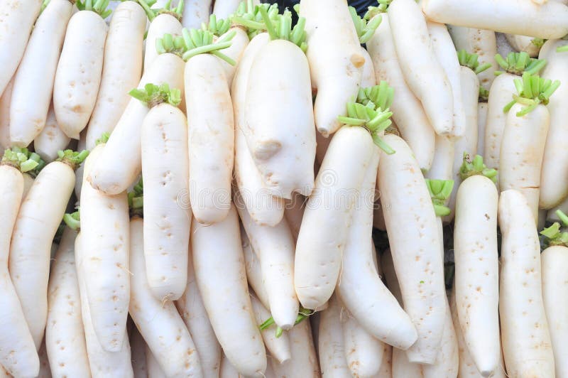 Fresh raddish stock photo. Image of fresh, radish, stacked - 21601198