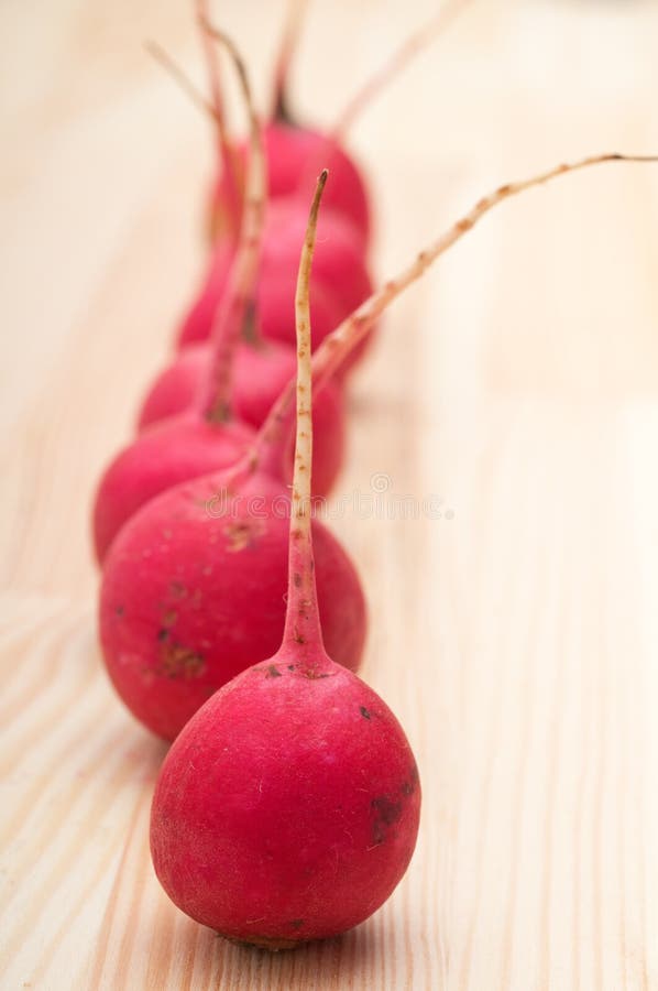 Fresh raddish stock photo. Image of radish, salad, closeup - 25736532