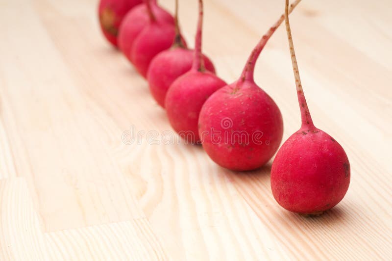 Fresh raddish stock image. Image of root, bulb, radish - 26001535