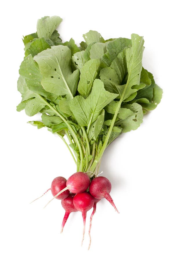 Fresh Radish at Farmers Market Stock Image - Image of delicious, market ...