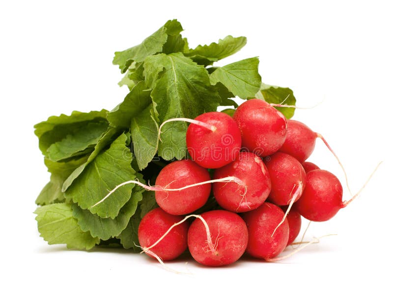 Fresh Radish at Farmers Market Stock Image - Image of delicious, market ...